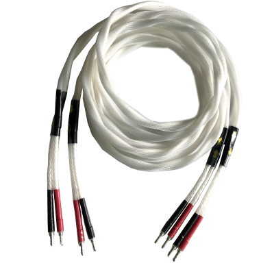 荷兰5nocc纯银发烧级HIFI主音箱