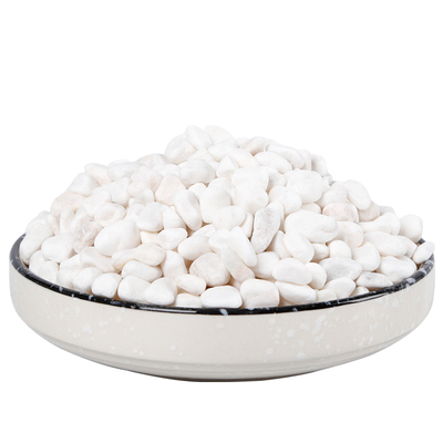 雨花石白色庭院造景鱼缸多肉植物