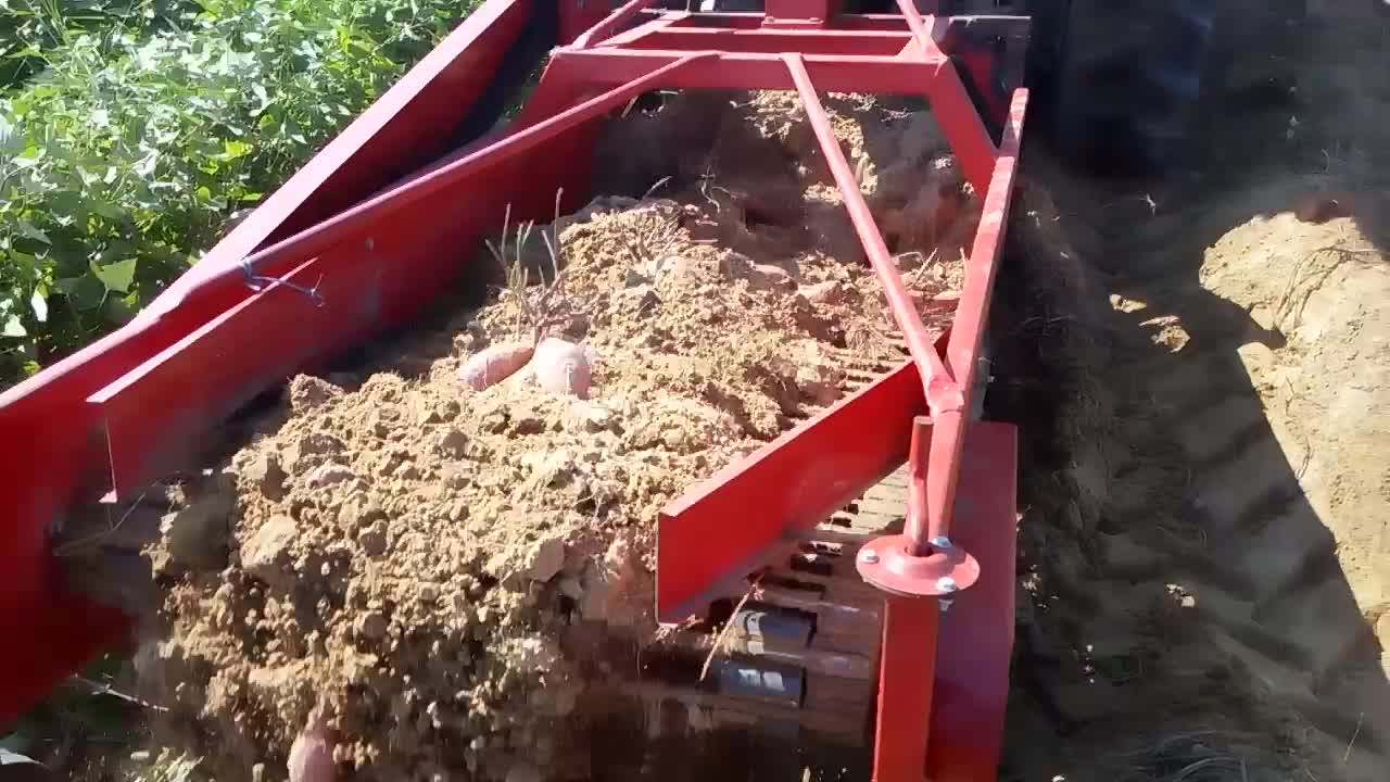 Sweet Potato Harvester Digger - Buy Sweet Potato Harvester,Potato ...