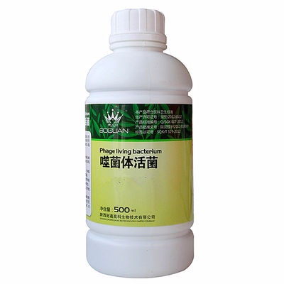 噬菌体活菌鸽子用品搏冠调理肠道