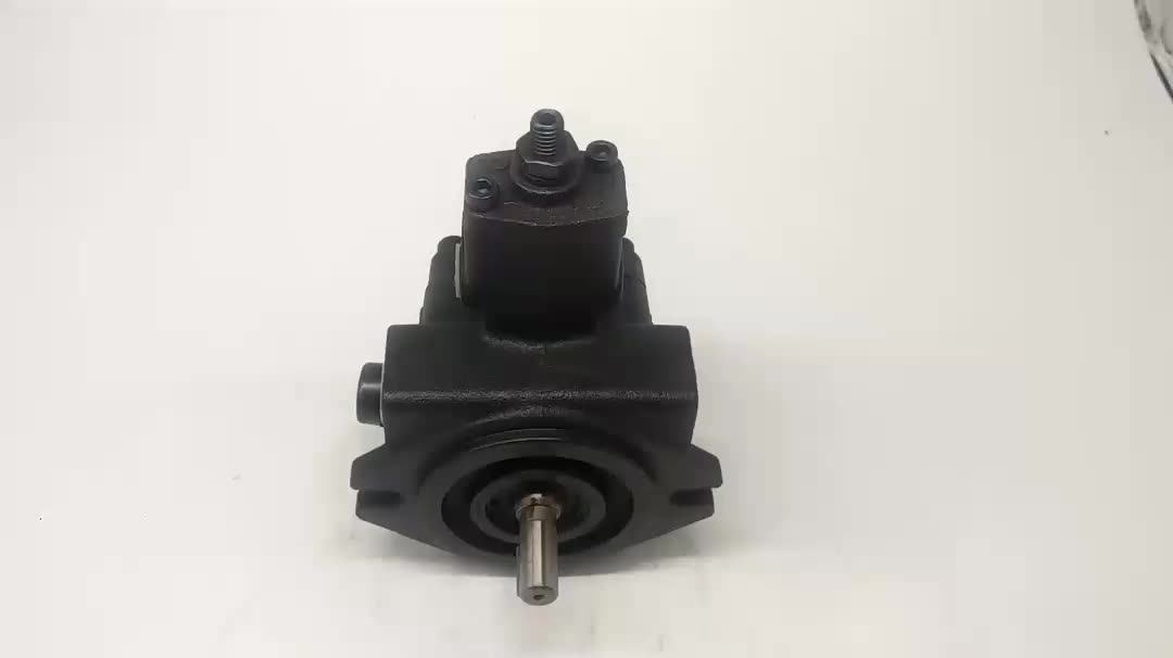 Vp Series Variable Displacement Vane Pump Mini Small Hydraulic Oil ...