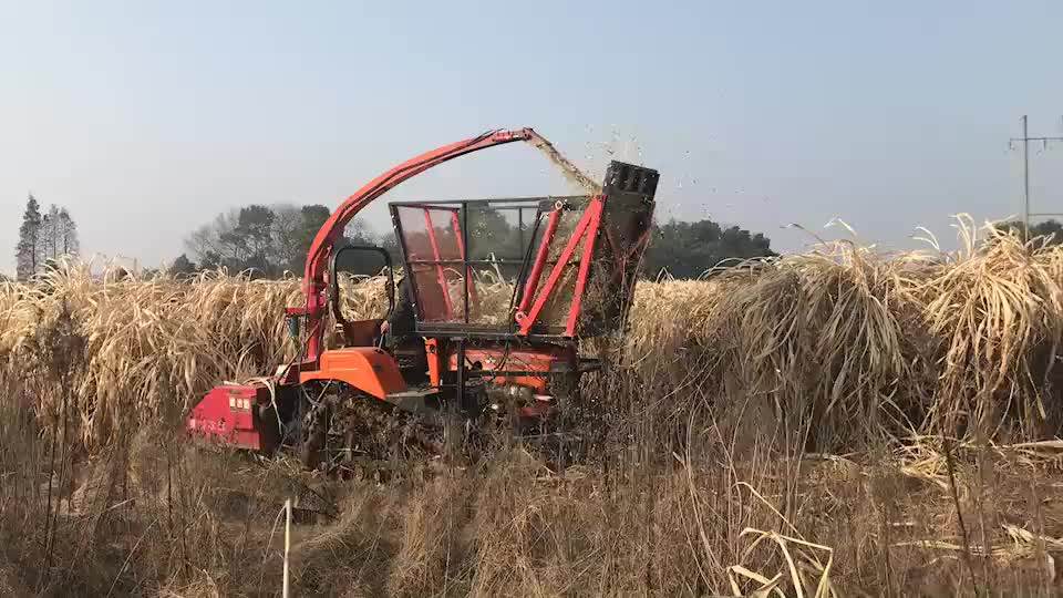 Tractor Mounted Forage Harvester Silage Harvester For Sale - Buy Forage ...
