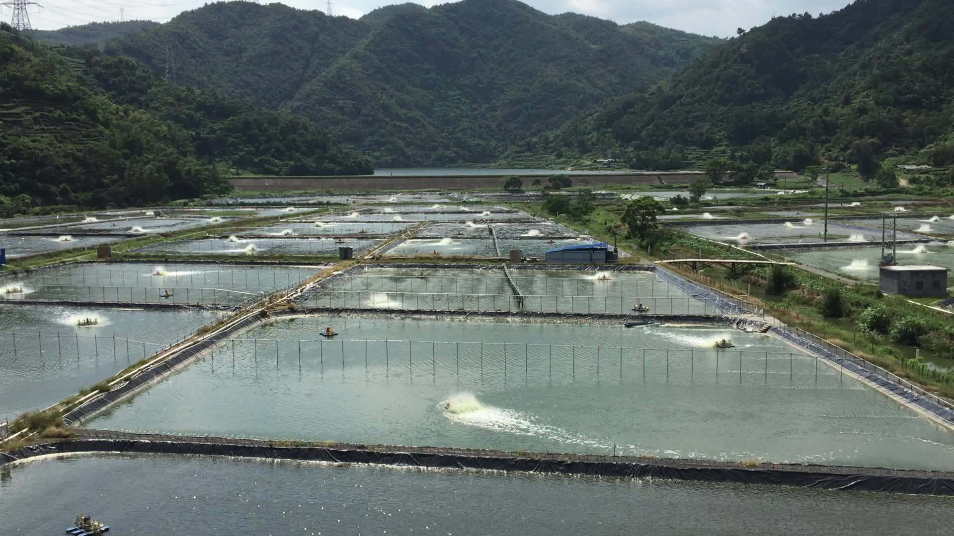 Inland Fishery And Aquaculture In Thailand Fish