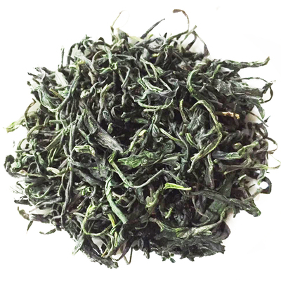 2025新茶湖北宜昌五峰绿茶毛尖茶