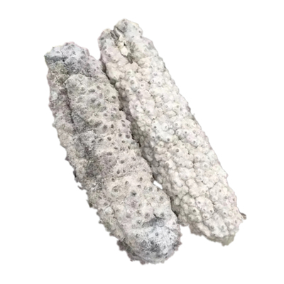 黄玉参野生黄肉参刺参500g