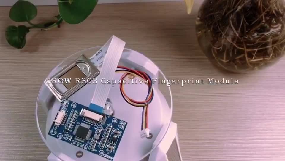 Grow R303 Dc4.2-6v Usb Uart Capacitive Fingerprint Scanner Sensor For ...