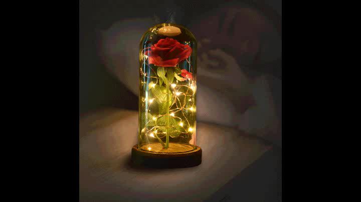 New Products 2018 Beauty And The Beast Rose Wholesale Preserved Eternal ...
