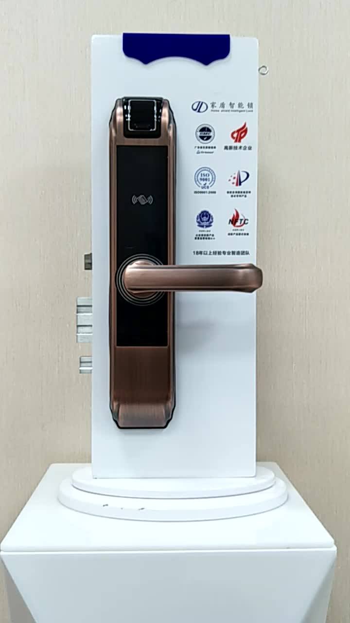 European Style Face Door Lock With Eye Scanner,Panel Lock - Buy Face ...