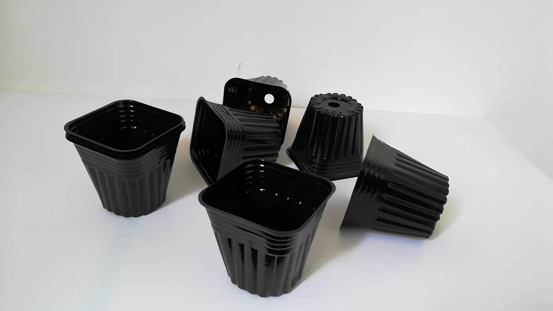 Small Square Black Plastic Pot Garden Square Nursery Pot Plastic Square ...