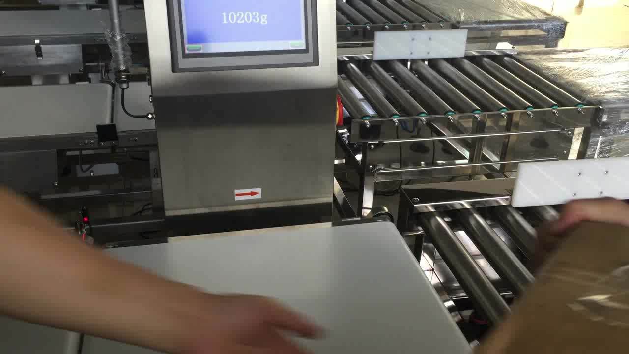 Inline Checkweigher Check Weigher Machine Carton Box Roller Conveyor ...