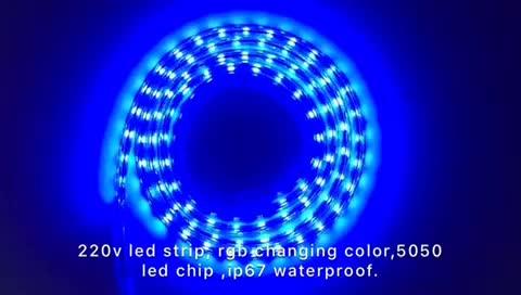 High Voltage Led Strip,100m/roll Led Strip Light 220-240v,220v Led ...