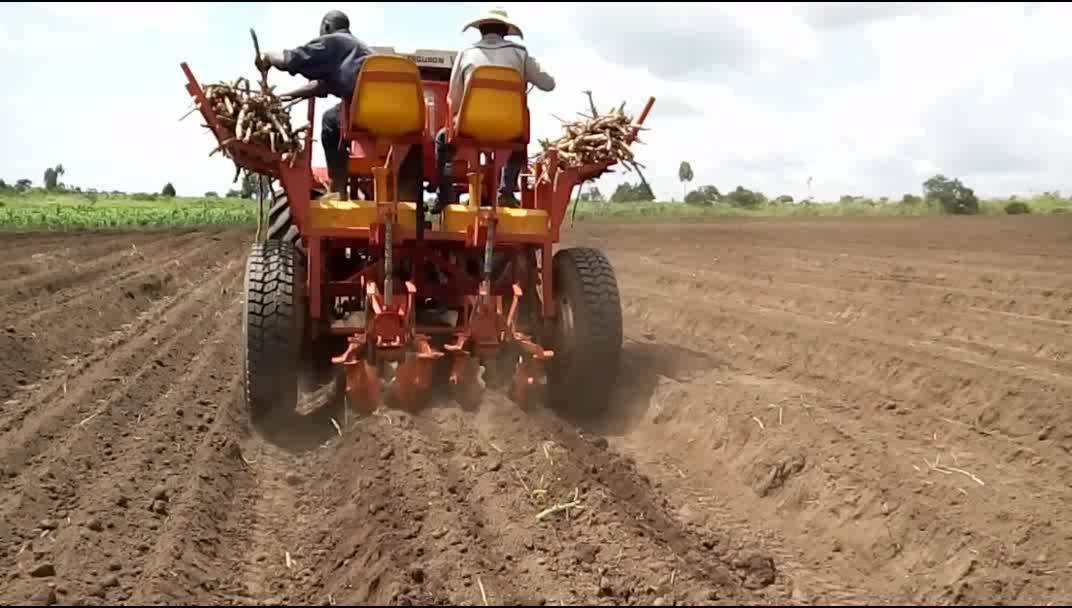 Modern Agriculture Machinery Equipment Cassava Planting Machine 2amsu ...