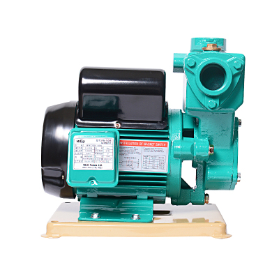 自吸泵常州水泵德国电动铸铁全新