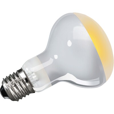 乌龟晒背灯uva加热灯守宫蜥蜴