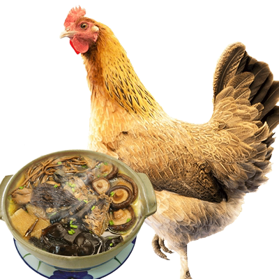 散养农家新鲜整只土鸡