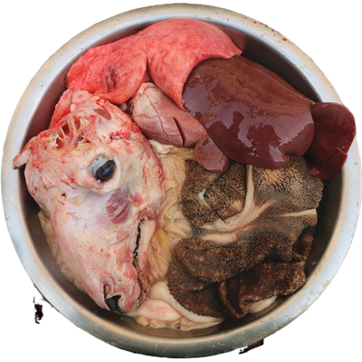 整套下货11斤新鲜羊头羊下水