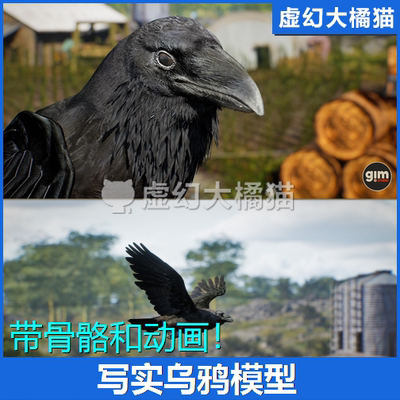 UE4虚幻5 Animalia - Raven V2.3.2 写实乌鸦角色模型动画动物鸟