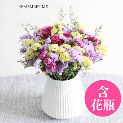 Forget me not all over the sky star dried flowers with