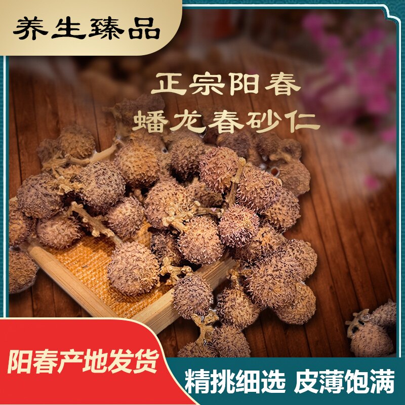 蟠龙砂仁正宗阳春蟠龙春砂仁阳春特产春砂仁50g包邮