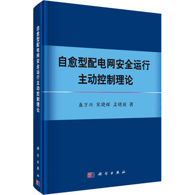 自愈型配电网安全运行主动控制理论 盛万兴,宋晓辉,孟晓丽 正版书籍 新华书店旗舰店文轩官网 科学出版社