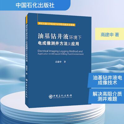 油基钻井液环境下电成像测井方法及应用 高建申 正版书籍 新华书店旗舰店文轩官网 中国石化出版社
