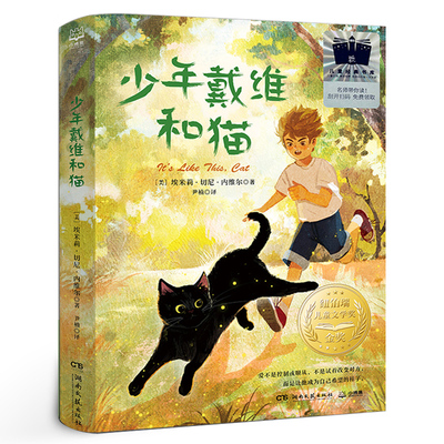 少年戴维和猫湖南文艺出版社