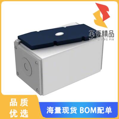 全新170M6498原装(FUSE SQUARE 1KA 1.3KVAC RECT)正品