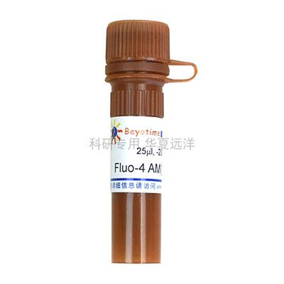 S1060-25μl Fluo-4 AM (钙离子荧光探针, 2mM) 碧云天