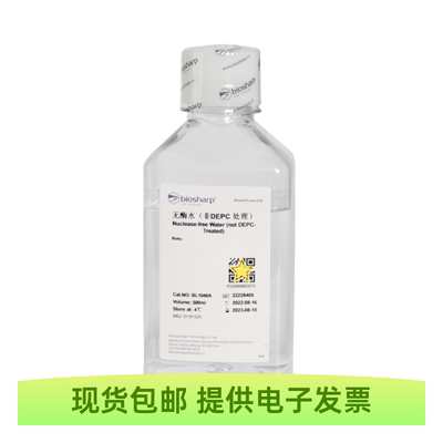 BL1040A 超纯无酶水非DEPC处理 Biosharp/白鲨 500ml