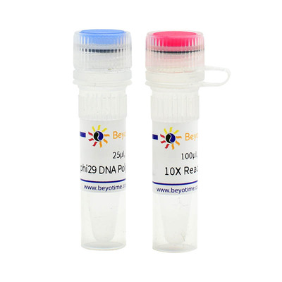 phi29 DNA Polymerase D7053S D7053M
