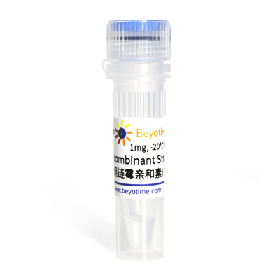 P5085 Recombinant Streptavidin (重组链霉亲和素)