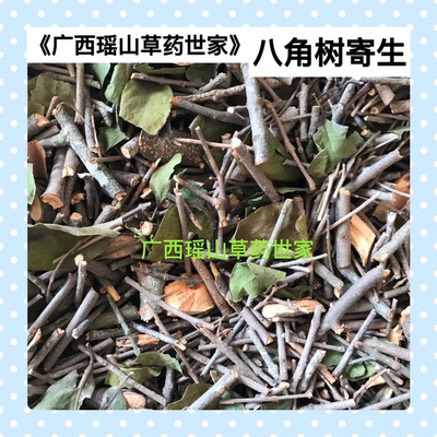 八角枫寄生八月珠五香寄生干品500克包邮