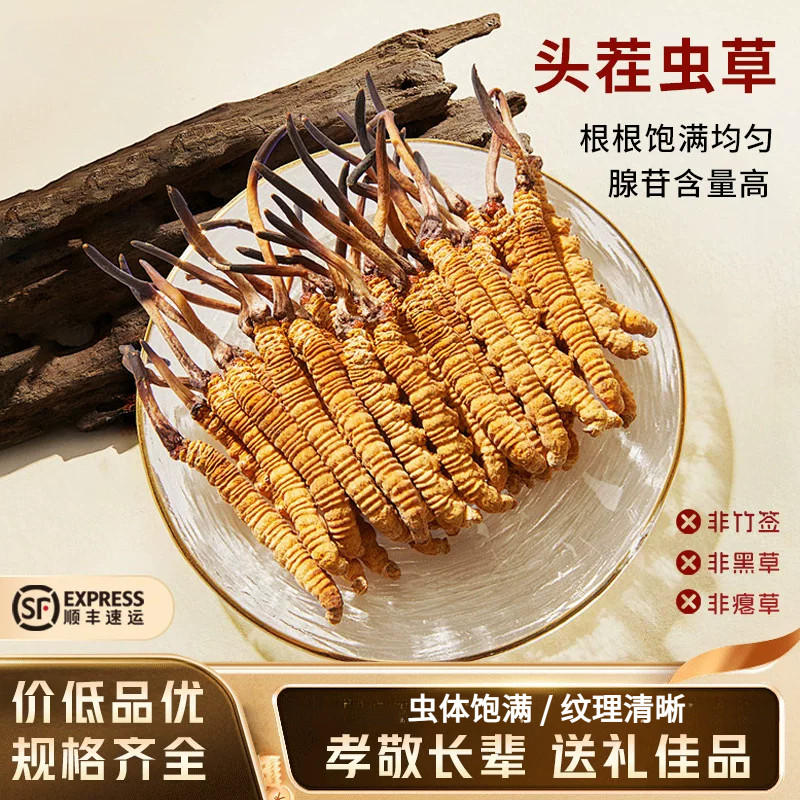 精选头茬新干草冬虫夏草正品虫草干货冻干高洁净滋补年货送礼批发