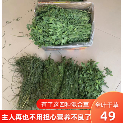 2023烘干苜蓿草兔子吃的小麦草 龙猫南提胡萝卜缨混合干草毛重1kg