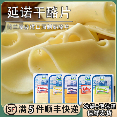 廷诺高达切达艾蒙塔大孔芝士片三明治儿童干酪原制米莫莱特奶酪片