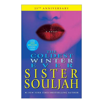 英文原版 The Coldest Winter Ever 寒冷的冬天 英文版 进口英语原版书籍