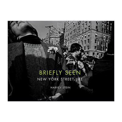 英文原版 Briefly Seen 简览 纽约街头生活 曼哈顿 精装摄影艺术图册 Harvey Stein 英文版 进口英语原版书籍