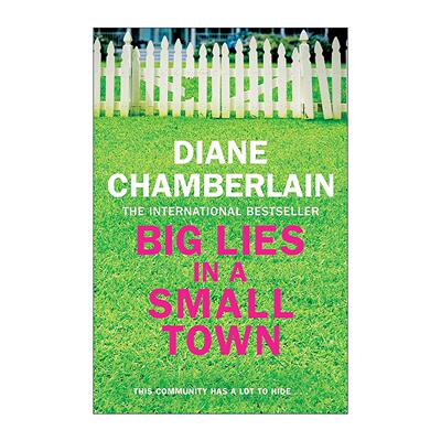 英文原版 Big Lies in a Small Town 小镇大谎 历史悬疑心理小说 Diane Chamberlain 英文版 进口英语原版书籍