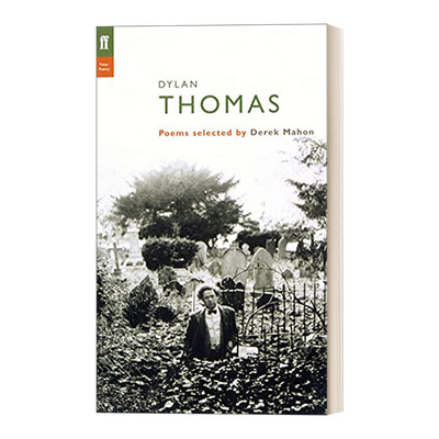 英文原版进口英语原版书籍