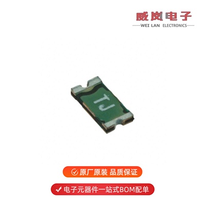 PTS120660V010|PTS120630V012|PTS12066V100原装