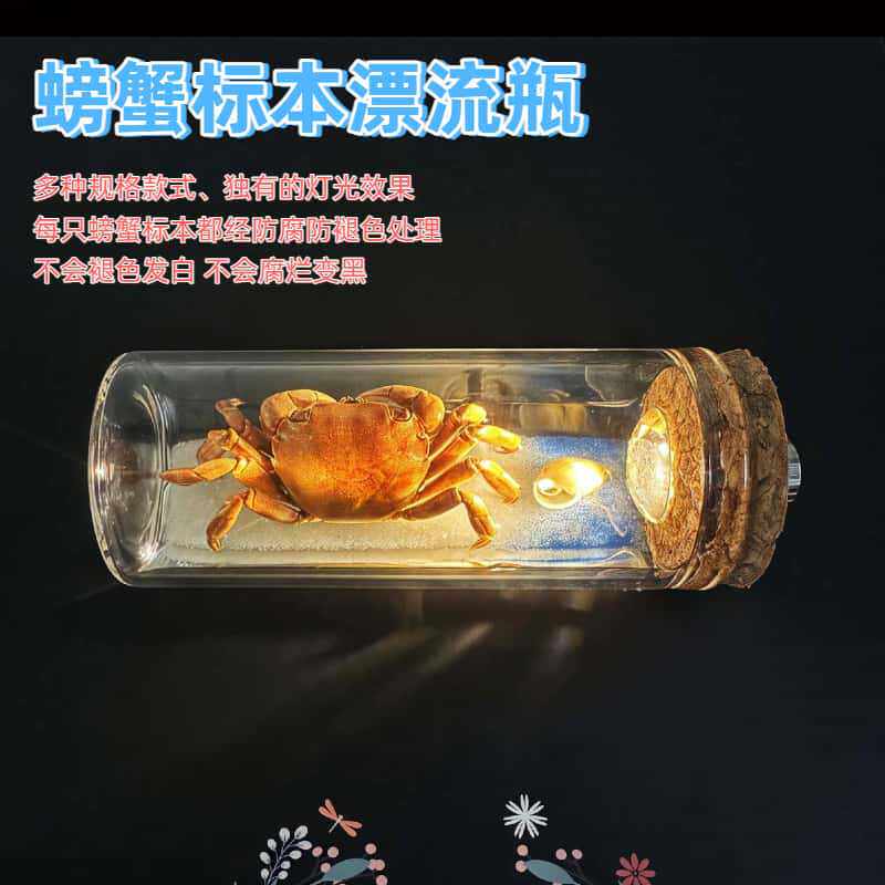 天然真实螃蟹标本漂流瓶海底世界小夜灯旅行礼品纪念品创意伴手礼