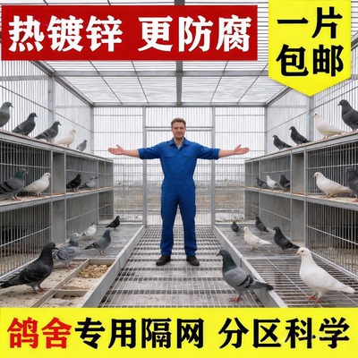 镀锌铁丝网片养殖隔离网加粗狗笼子鸽笼鸟笼围网电焊网片鸽舍地网