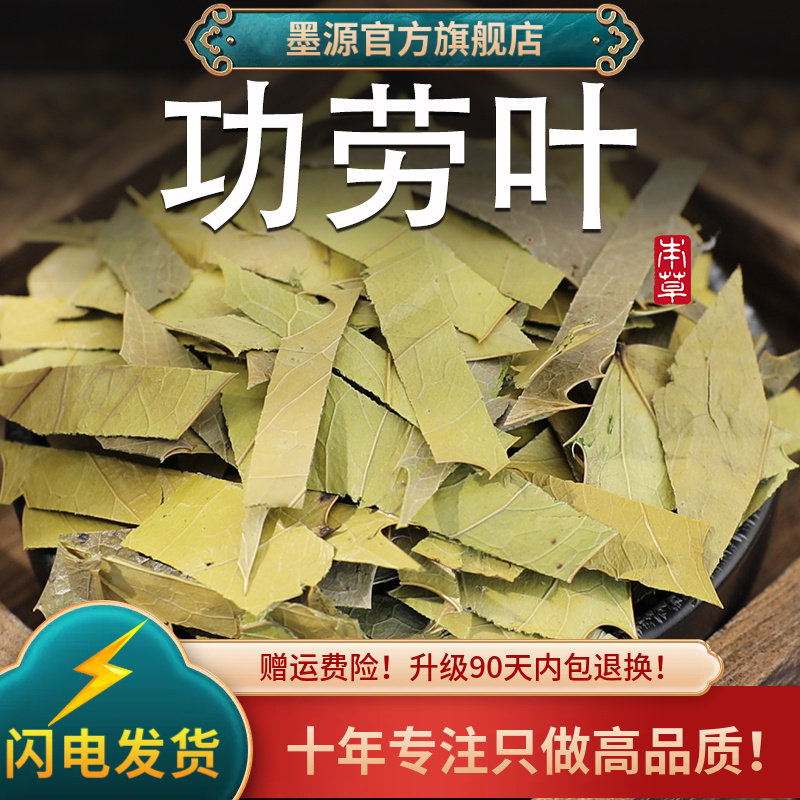 十大功劳叶中药材500g十大功劳功劳叶大片新鲜干货可打粉非枸骨叶