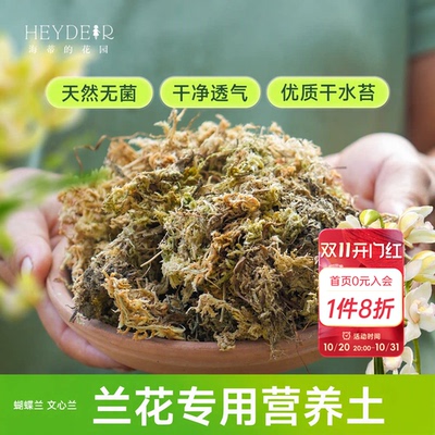 海蒂的花园水苔蝴蝶兰专用土兰花