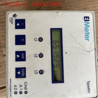 elster 电能表 控制器 EIMeter Type M(请询价)