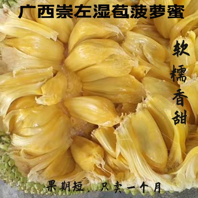 广西宁明东安湿苞菠萝蜜新鲜果地现摘现发甜香糯南方水果一个包邮