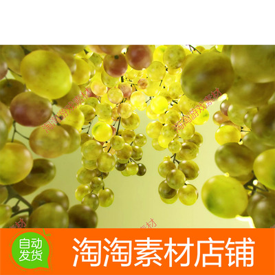 Unity Subsurface Scattering Shader 2022.1 次表面散射着色器