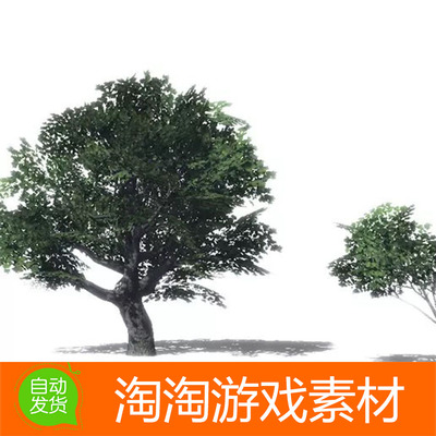 Unity3d Maple Trees Package 1.1 可编辑8棵枫树模型素材