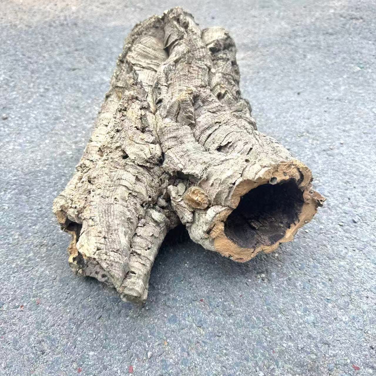葡萄牙软木进口香槟树皮爬宠箱爬虫箱天然树洞造景躲避雨林缸鱼缸