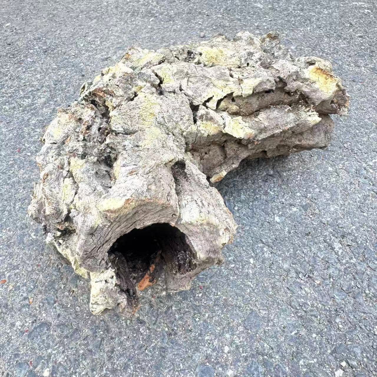 葡萄牙进口实心软木圆木雨林缸鱼缸造景骨架树洞鬃狮守宫爬宠躲避